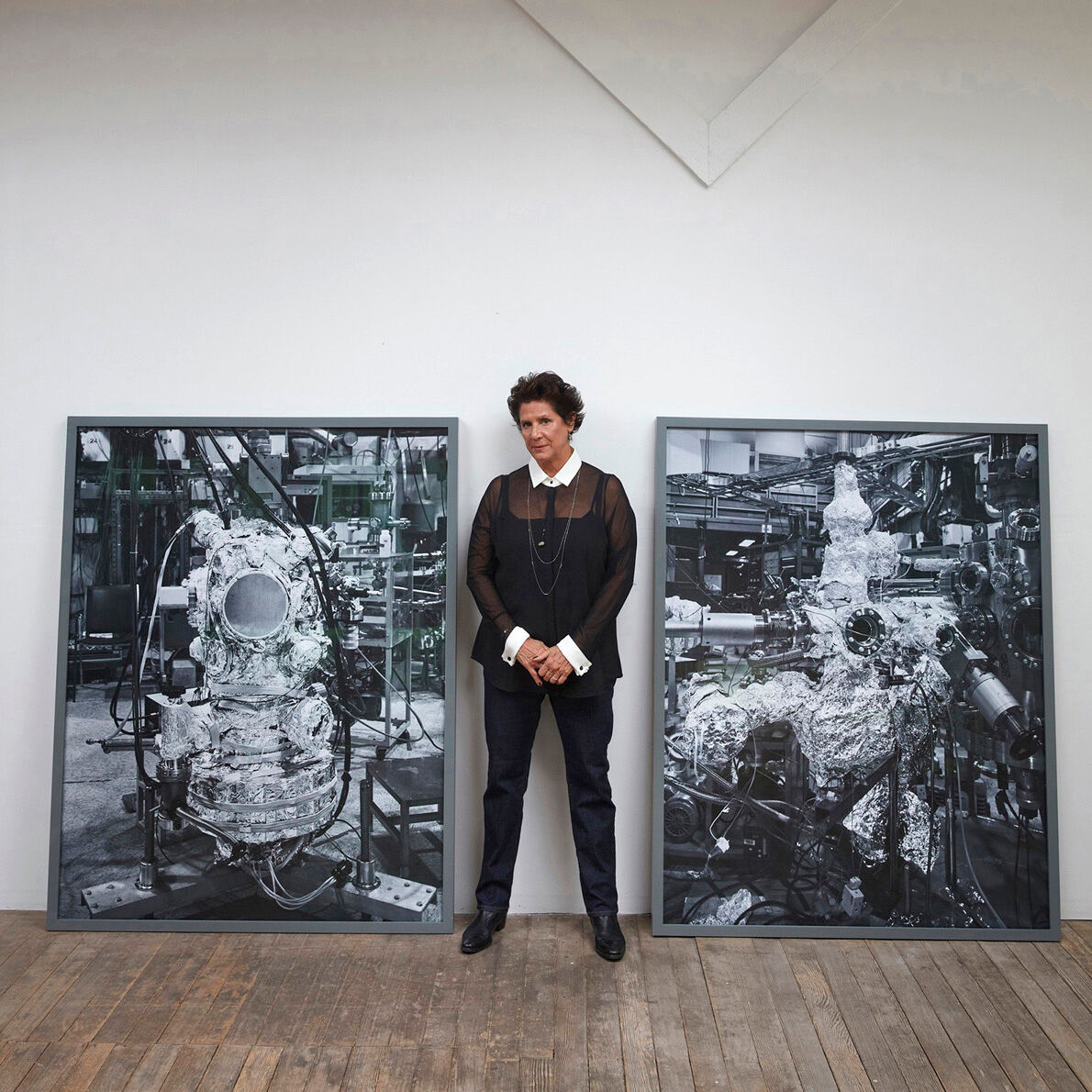 Catherine Wagner | Contemporary Artist | PLATFORM