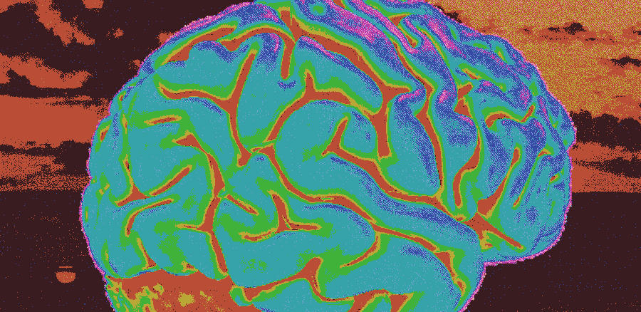 The Science Neuroaesthetics Is Uncovering How Art Affects the Brain ...