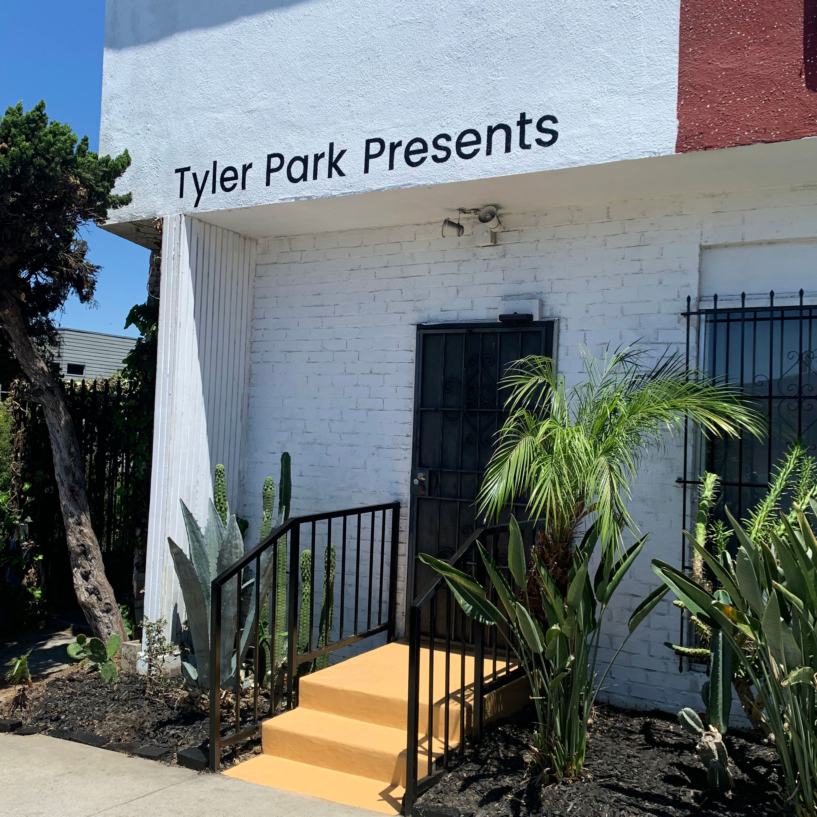 Tyler Park Presents | Contemporary Art Gallery | PLATFORM